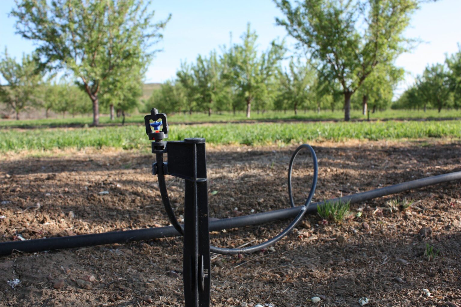 CDEC Reservoir Levels Map - California Farm Water Coalition