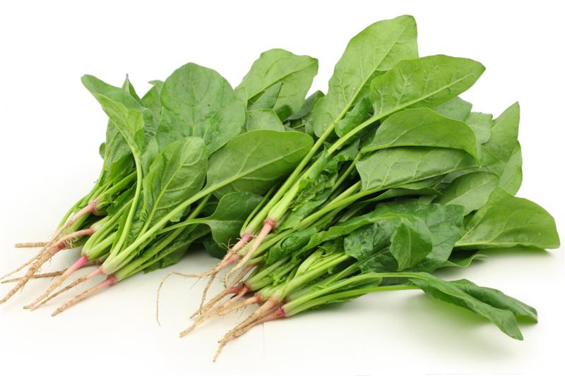spinach-california-farm-water-coalition