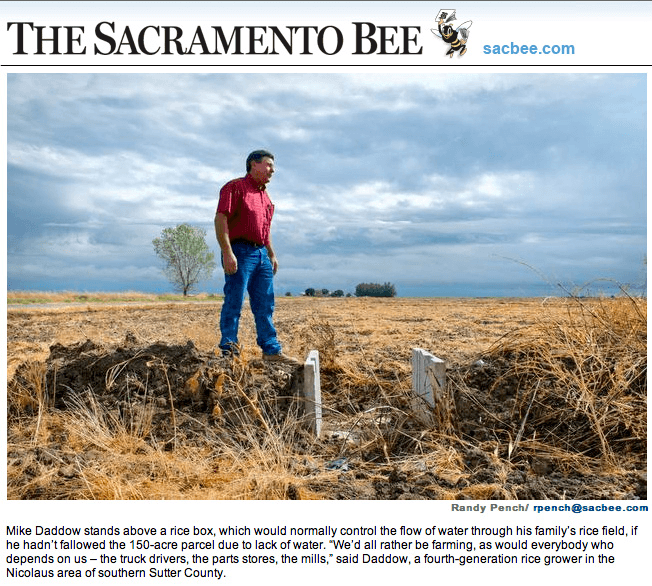 California Harvest Much Smaller Than Normal Across Crops